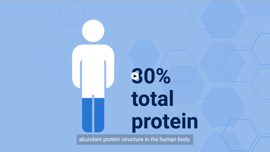 Custom Scaffolds Products - 3D BioFibR